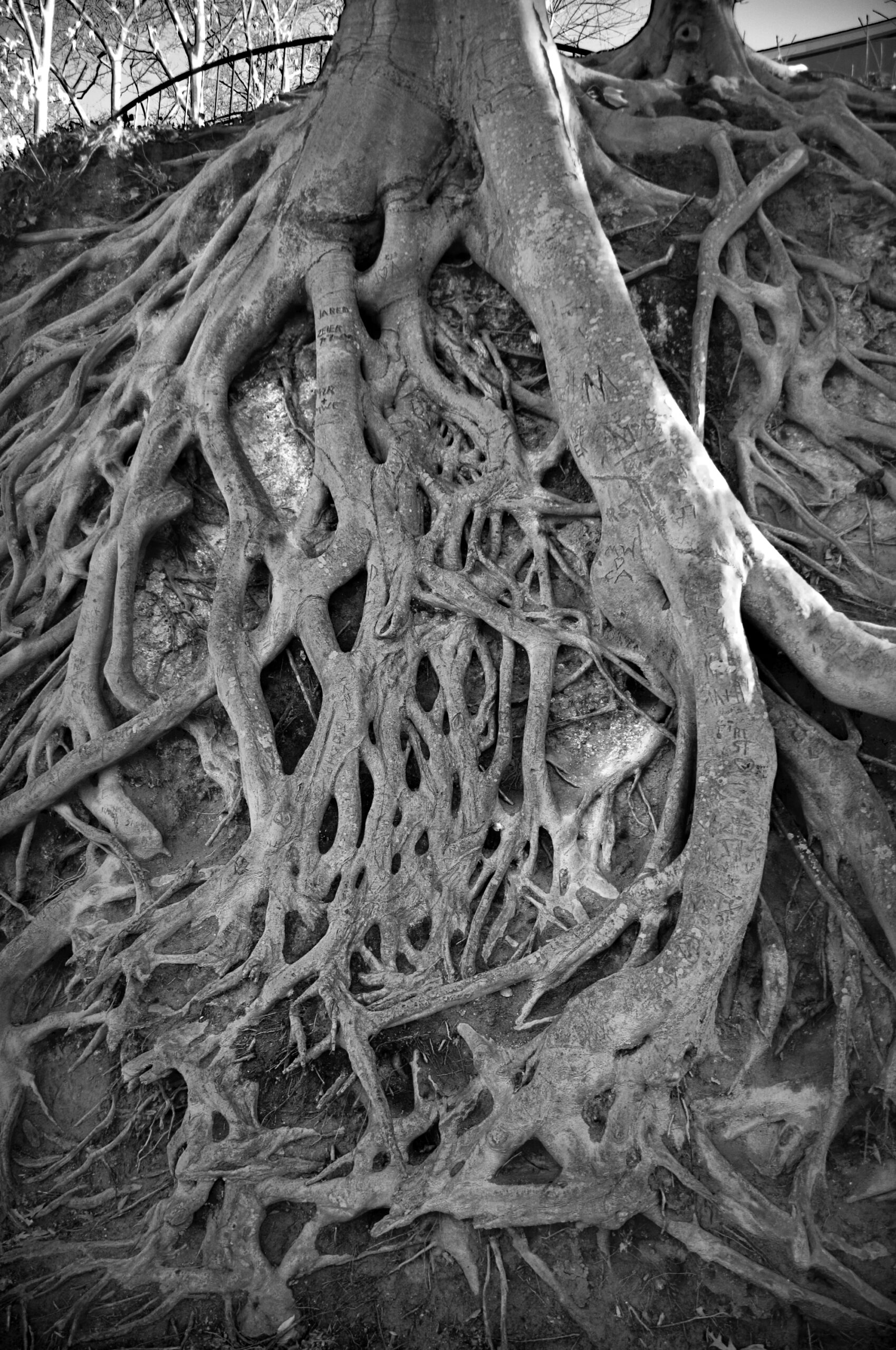 Photos – Random Connections