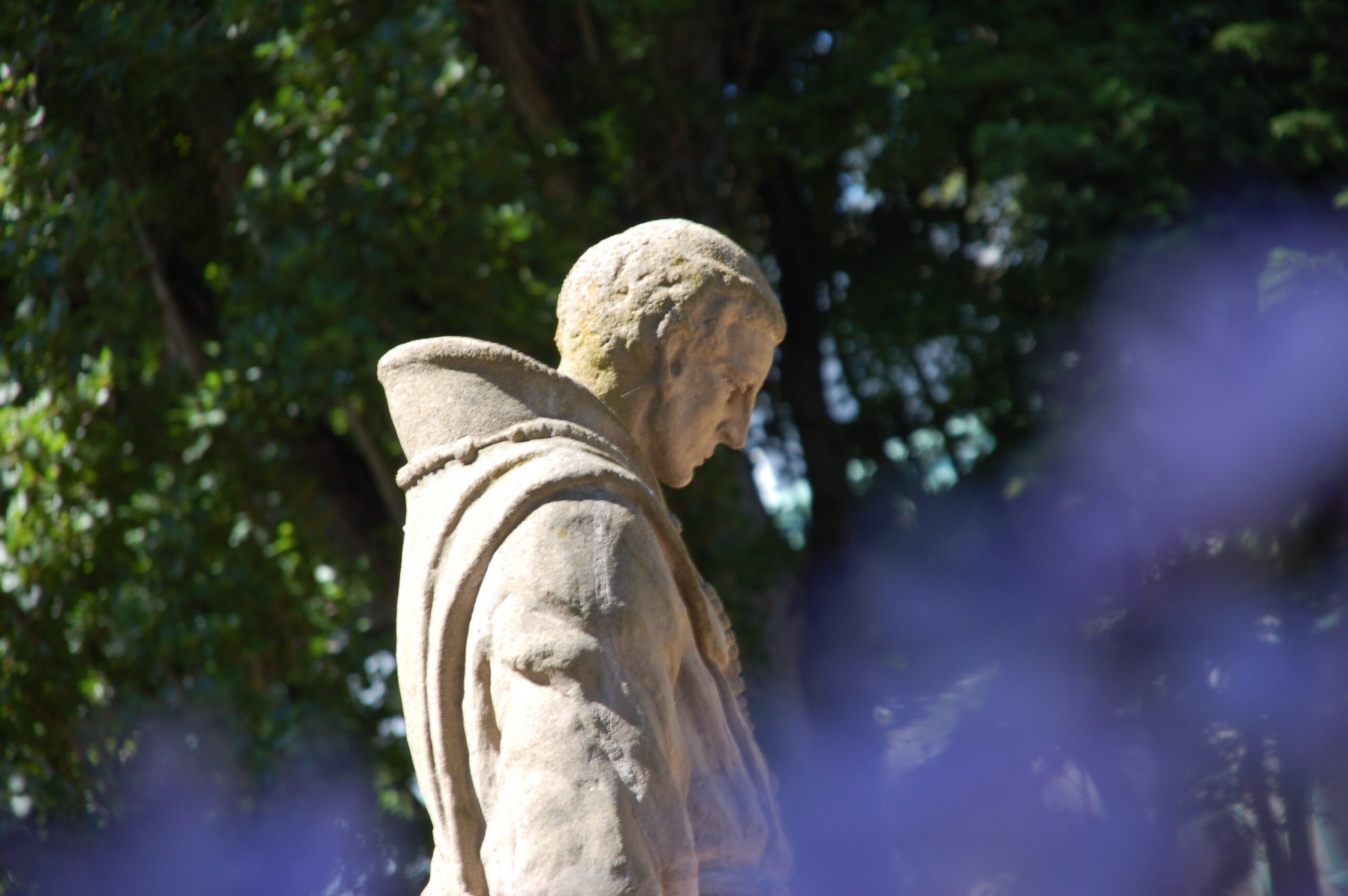 Photos – Random Connections