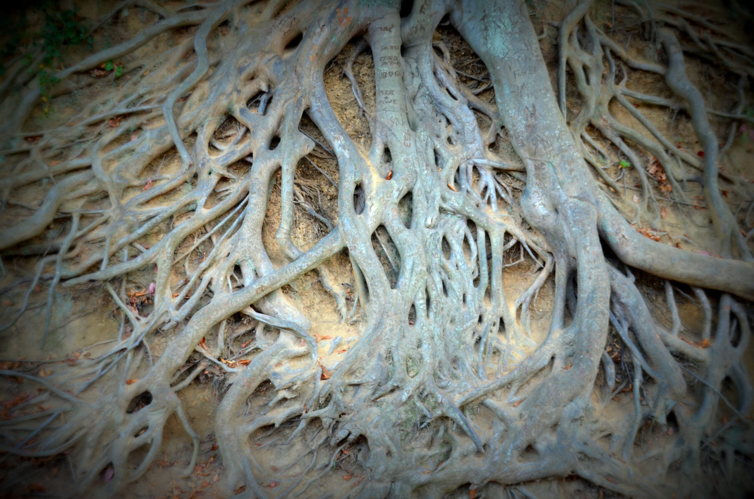 Photos – Random Connections