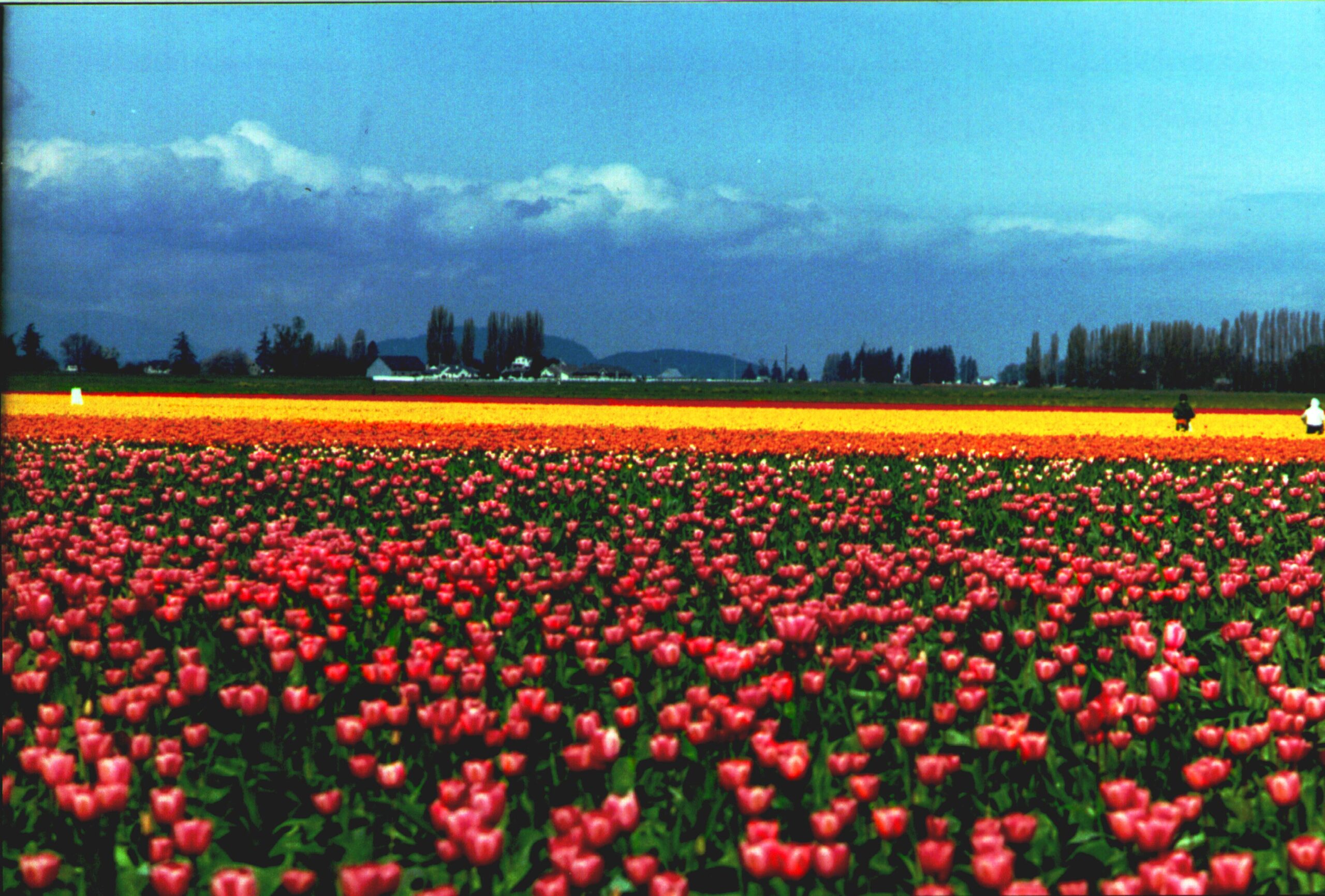 Photos – Random Connections