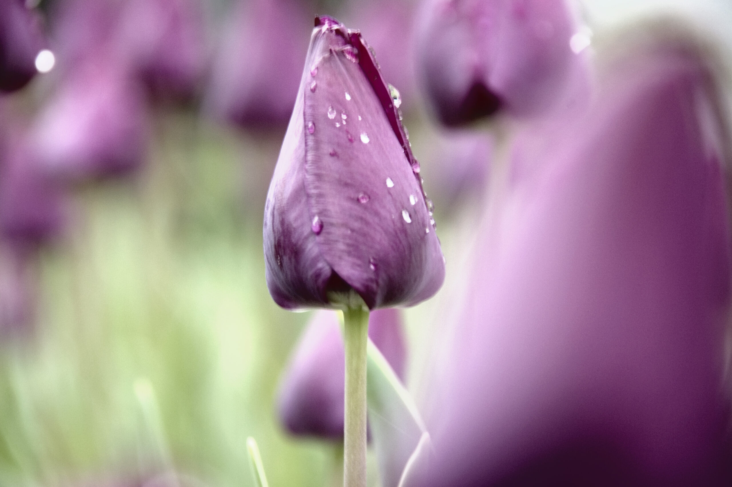 Photos – Random Connections